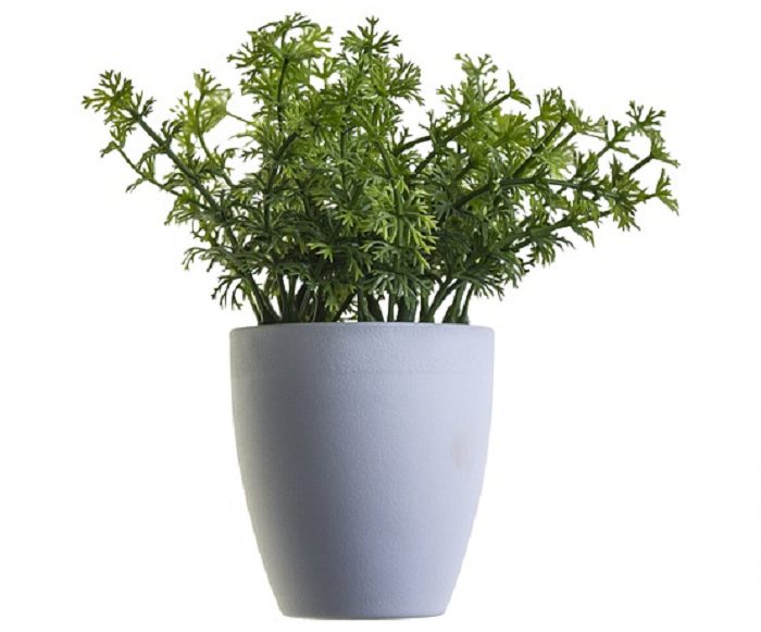 Comment choisir des pots de fleur pour ajouter du style à votre extérieur